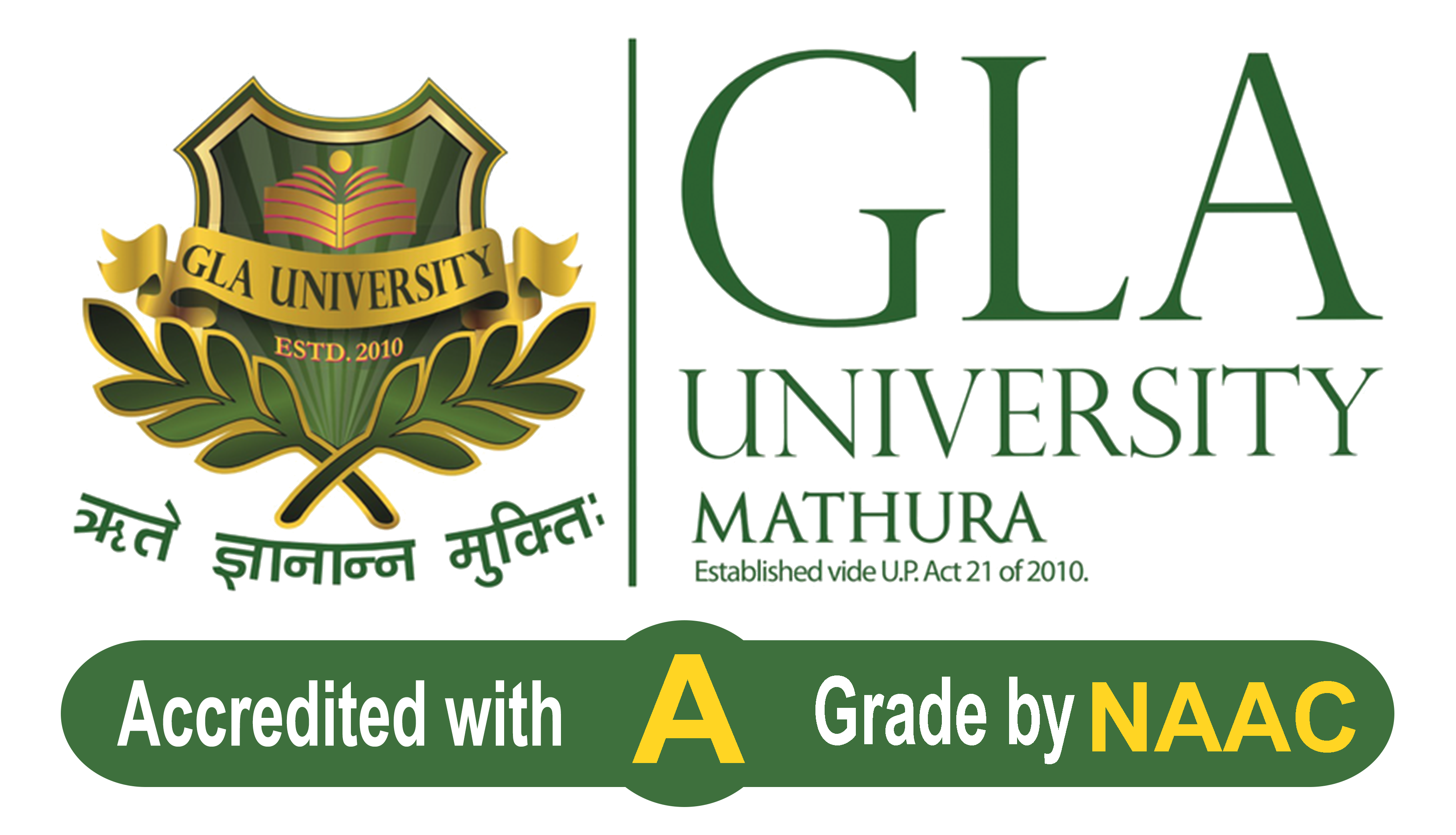 SASM 2021 | GLAU
